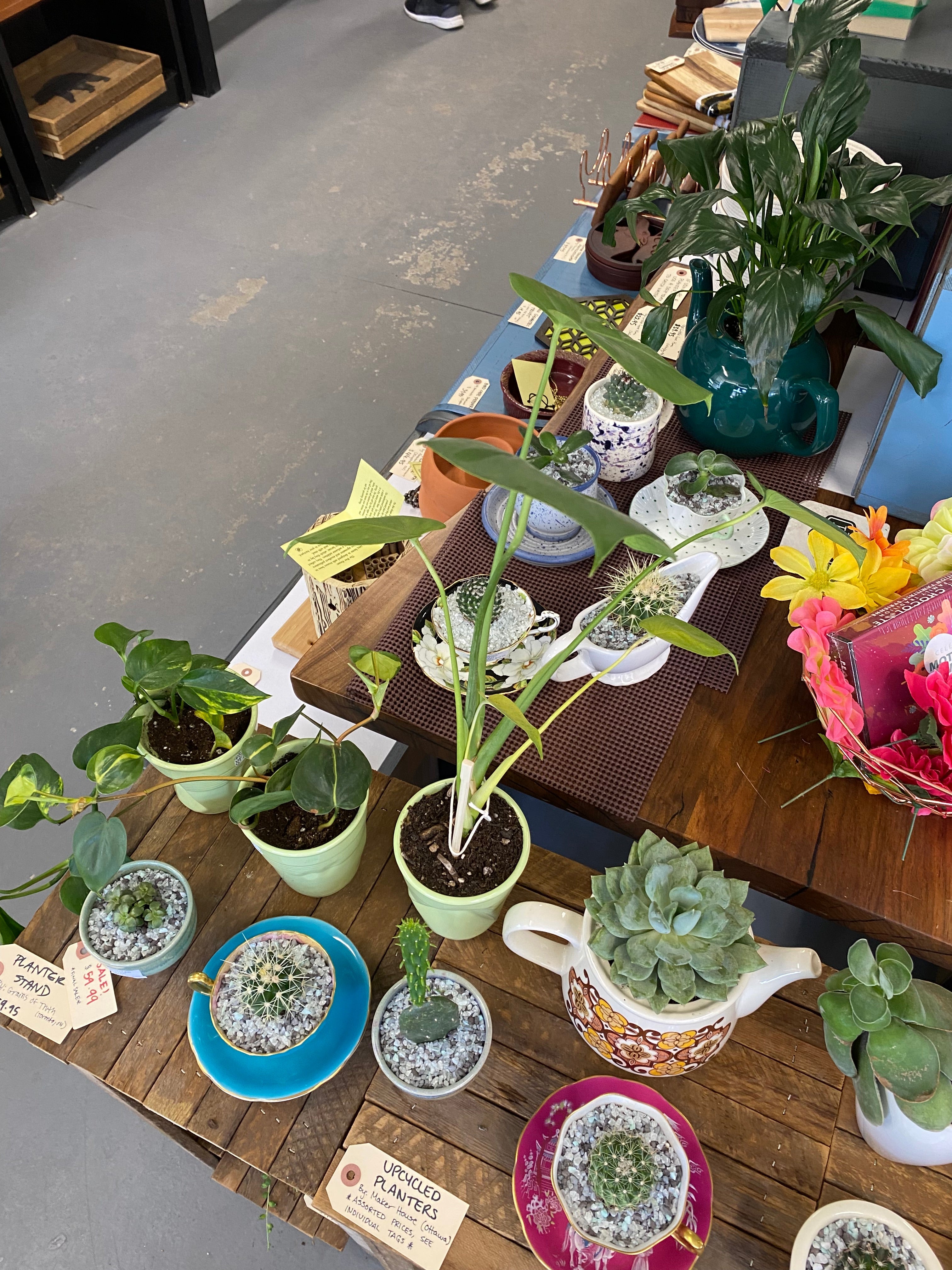 Plants & Garden – Maker House Co.