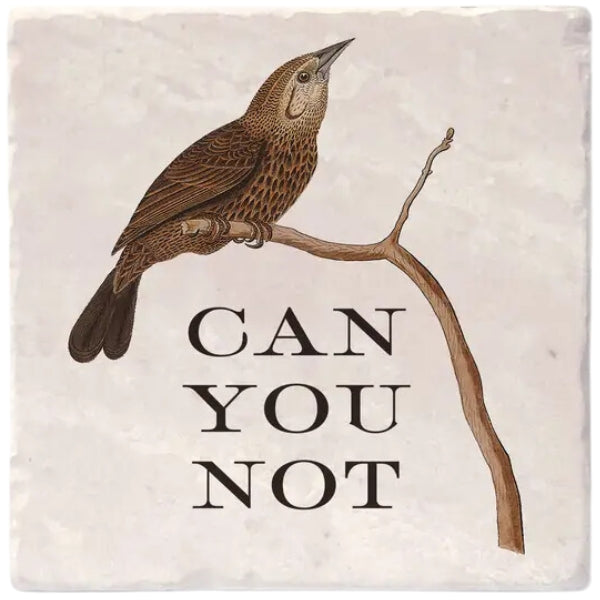 Effin' Birds Coaster - Can You Not by VersaTile Designs at Maker House Co.