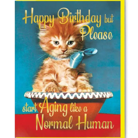 Birthday Cards at Maker House - Maker House Co.